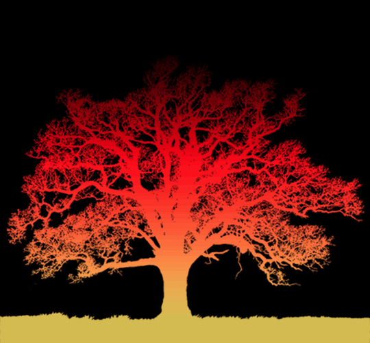 Sad News About Our Orton Tree — and Looking Ahead